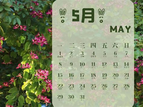 南科视界南科大2023年日历壁纸来了 南科视界 南方科技大学