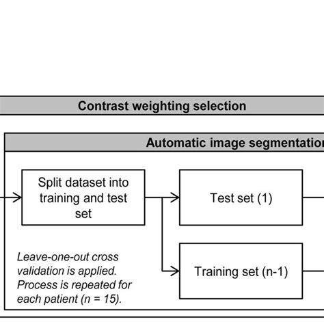 Scheme Of The Contrast Weighting Selection And The Automatic Image Download Scientific Diagram