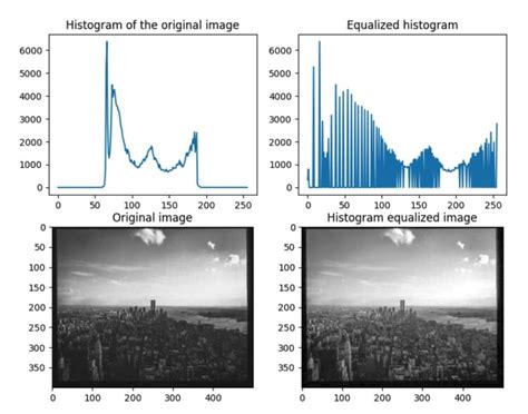 Image Histograms In Opencv Python Image Processing Coseries