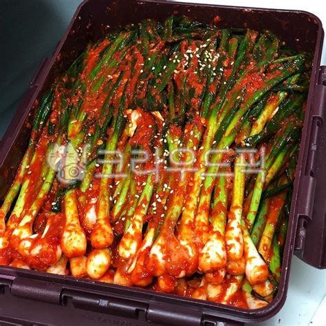 쪽파김치 파 파김치 파김치담기 야채 사진 이미지 일러스트 캘리그라피 Annepopart작가