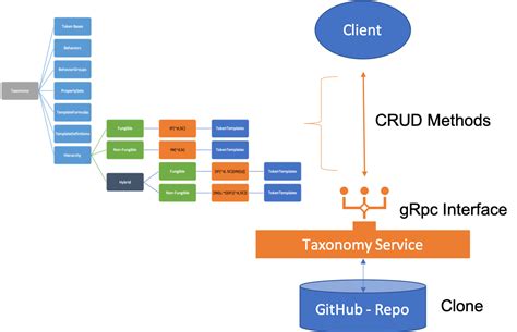 Taxonomy Model Tokentaxonomyframework