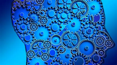 Cluster Analysis Association Mining And Model Evaluation Coursera