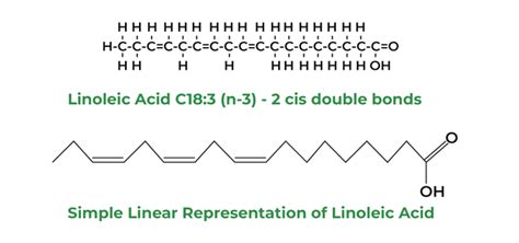 Difference Between Lipids And Fats Geeksforgeeks