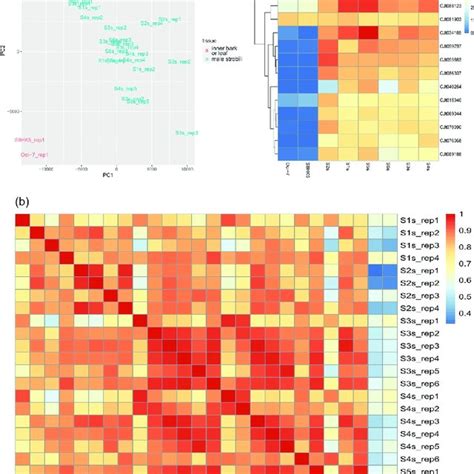 Assessment Of The Gene Expression Data A The Principal Component Download Scientific Diagram