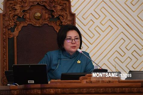 Мөнгөн зээлийн үйл ажиллагааг зохицуулах тухай хуулийг дагаж мөрдөх журмын тухай хуулийн төслийг