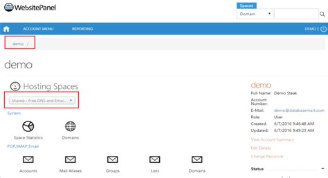 how to update dns records for domain by websitepanel