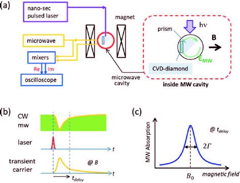 Schematic Drawings Of Experimental Method A The Equipment And Inside Download Scientific