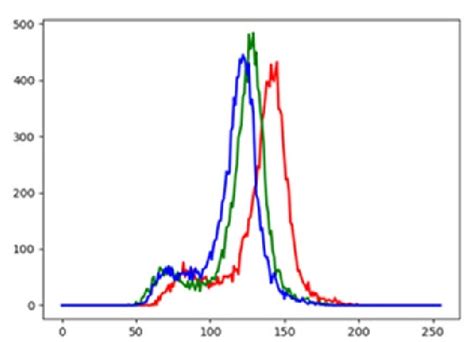 Rgb Histogram Of Insulator Download Scientific Diagram