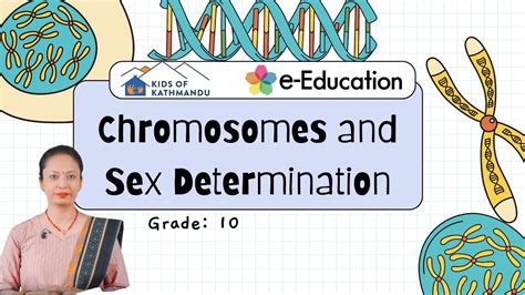 Grade 10 Chromosomes And Sex Determination क्रोमोजोम र लिंग निर्धारण