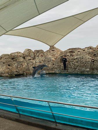 Texas State Aquarium Corpus Christi 2020 All You Need To Know
