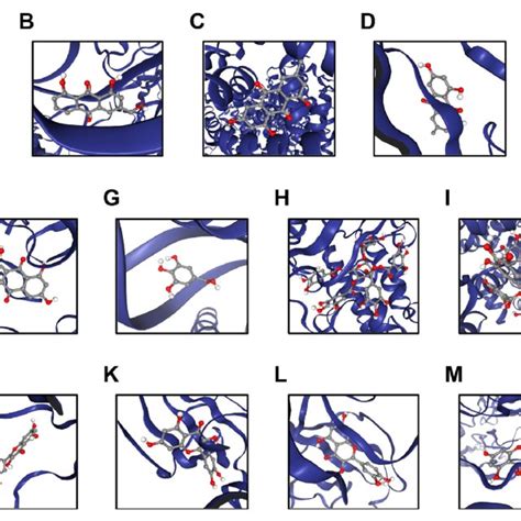 Molecular Docking Analysis For The Bioactive Phytochemical Components Download Scientific