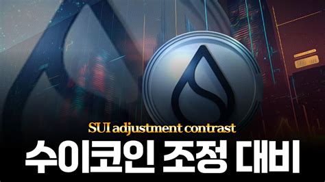 수이코인 조정 후 큰 상승 준비 Youtube