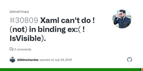 Xaml Cant Do Not In Binding Ex Isvisible · Issue 30809