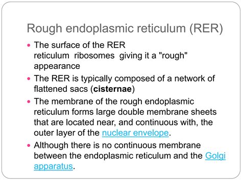 Endoplasmic System Structure And Function Pptx