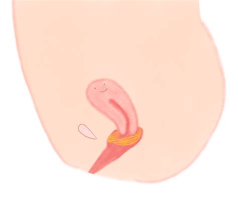 insert your menstrual disc 走塑日誌 Plasticfree Diary