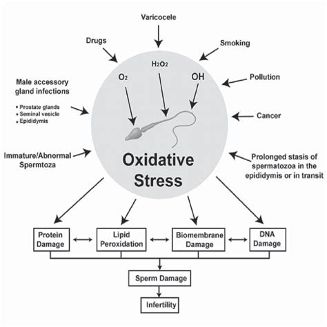 Chart Oxygen Reproduction Price In Kenya