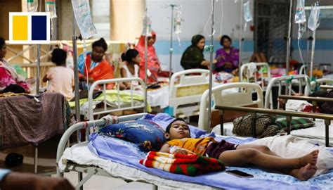 Bangladesh Records Over 1 000 Dengue Fever Deaths In Nations Worst Outbreak Of Virus South