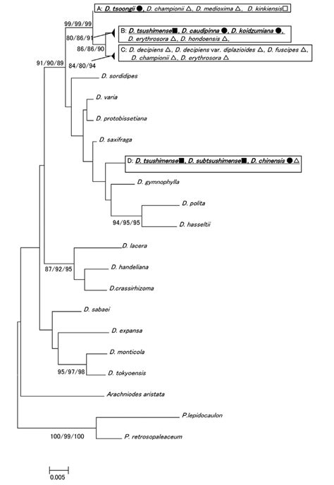 the ml tree highest log likelihood −3264 3797 based on sequence