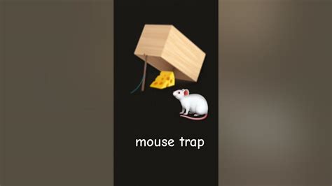 Mouse Cooked Youtube