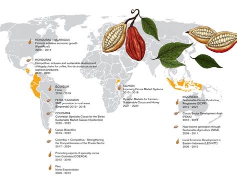 Cocoa Value Chain Development Sustainable Agriculture Our Expertise Our Work Site