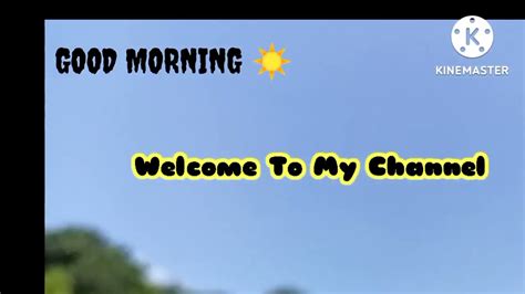 ঘৰত গৈপোৱাৰ পিছ দিনা কি কি হল Dailyvlog Youtube