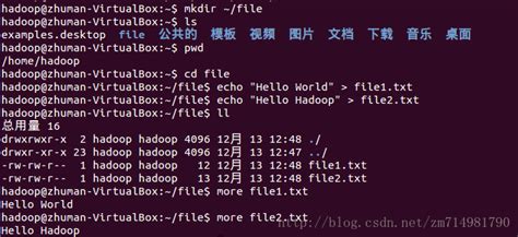 Hadoop（二）——wordcount运行和解读wordcount运行结果终端命令方式 Csdn博客
