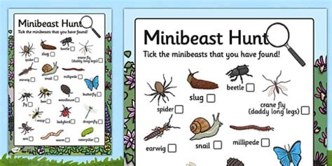Minibeasts Primary Resources Minibeast Bugs Growth Life Skills Activities Interactive