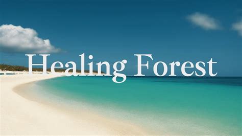 평온한 바닷가 파도소리와 아이들 𝗔𝗦𝗠𝗥 백색소음 Youtube