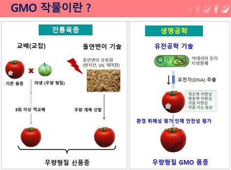 유전자 변형 생물gmo 네이버 블로그