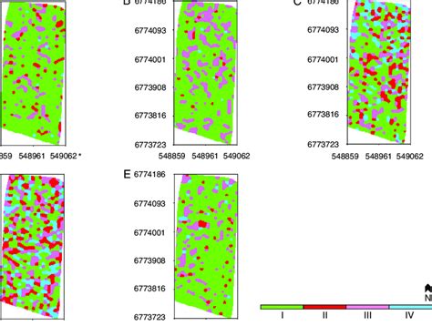interpolation maps by multiquadric equations of spatiotemporal