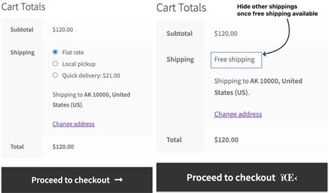 Hide Shipping Method For Woocommerce Thedotstore