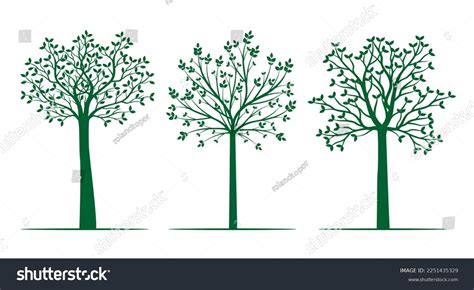 Set Green Trees Vector Outline Illustration Stock Vector Royalty Free