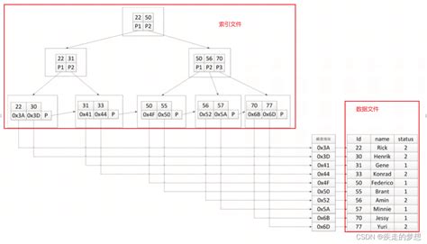 Mysql索引原理及优化主键索引就是非空的唯一索引 Csdn博客