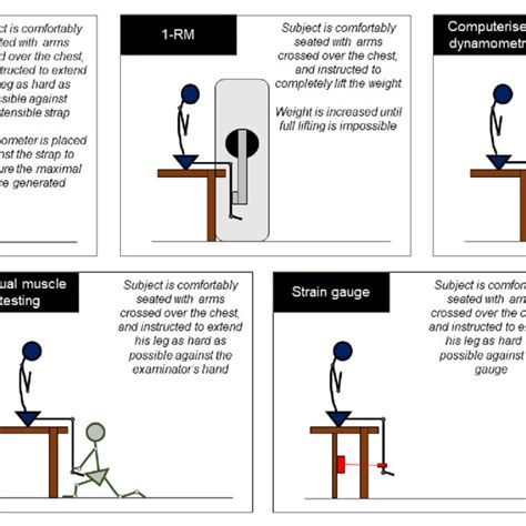 Methods Of Quadriceps Testing Download Scientific Diagram