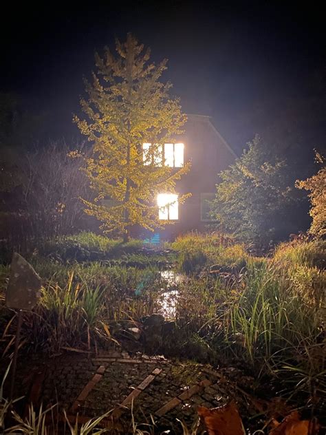 Hackathon Innovation Latenightcoding Tim Hartnack