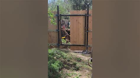 Puppy Choco 🐶 Youtube