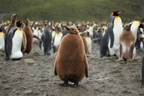 Hack Like A Pro Linux Basics For The Aspiring Hacker Part 4 Finding Files Null Byte