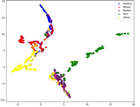 Image Classification With Kdbai · Data Intellect