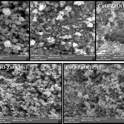 Xrd Patterns Of Zno Cuo Cuo Zno 1 Cuo Zno5 And Cuo Zno 10 Download Scientific Diagram