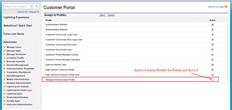 How To Create Custom Profile For Registered User In Salesforce