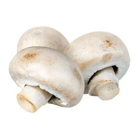 Uttar Pradesh Frozen Button Mushroom 4 5 Gm Packaging Size 1 Kg At ₹ 190 Kg In New Delhi