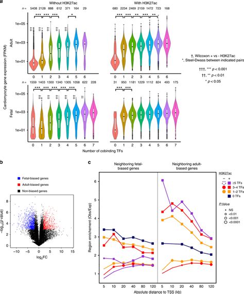 Stage Specific TF Chromatin Occupancy Regulates Stage Specific Gene Download Scientific Diagram