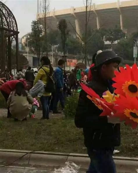 曝光風車園之殤讓我們和不文明行為說NO 每日頭條