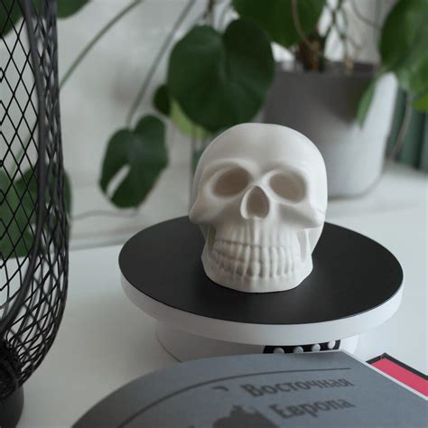Статуэтка в виде черепа цвет слоновая кость Декор в Москве купить по цене 650 Rub Статуэтки