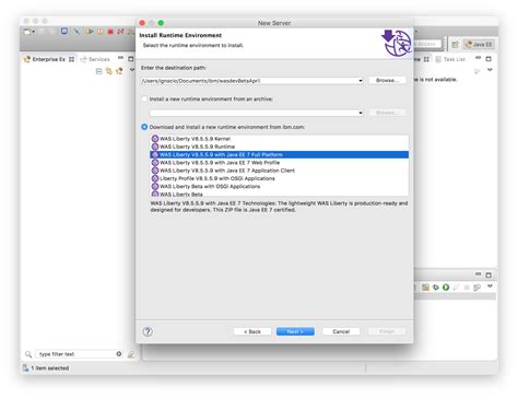 Setup Liberty Server On Eclipse Programming Notes