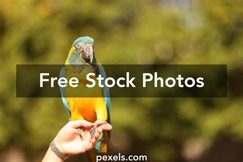 Logic Background Arms Photos Download The Best Free Logic Background