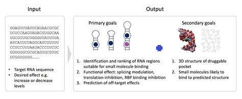 AI ML Platform For Targeting RNA With Small Molecules Challenge AION Labs
