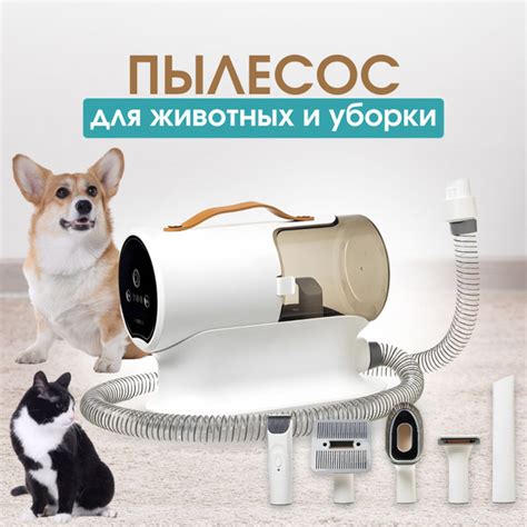 Пылесос для животных AIRROBO - купить с доставкой по выгодным ценам в ...