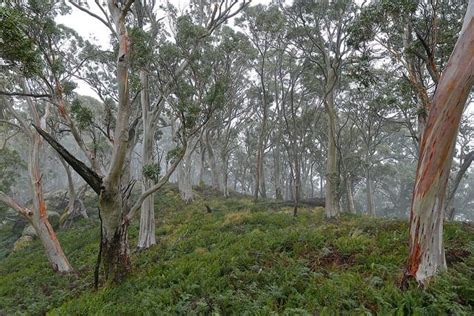 Tour Of Data Sampling Methods For Imbalanced Classification