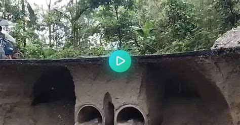 Timing Album On Imgur